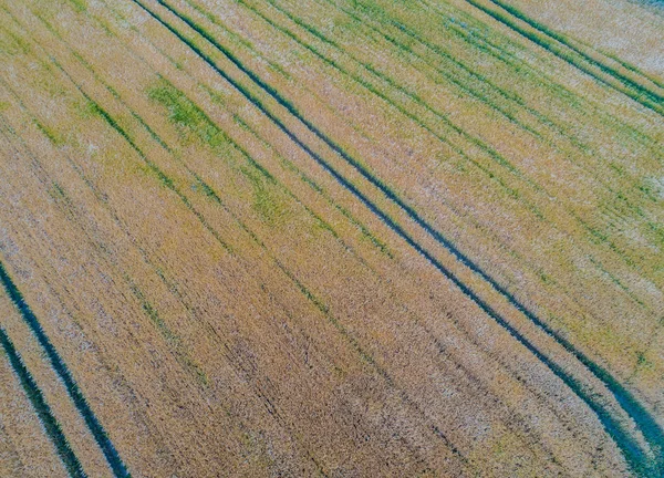 Drone over field Stock Photos, Royalty Free Drone over field Images ...