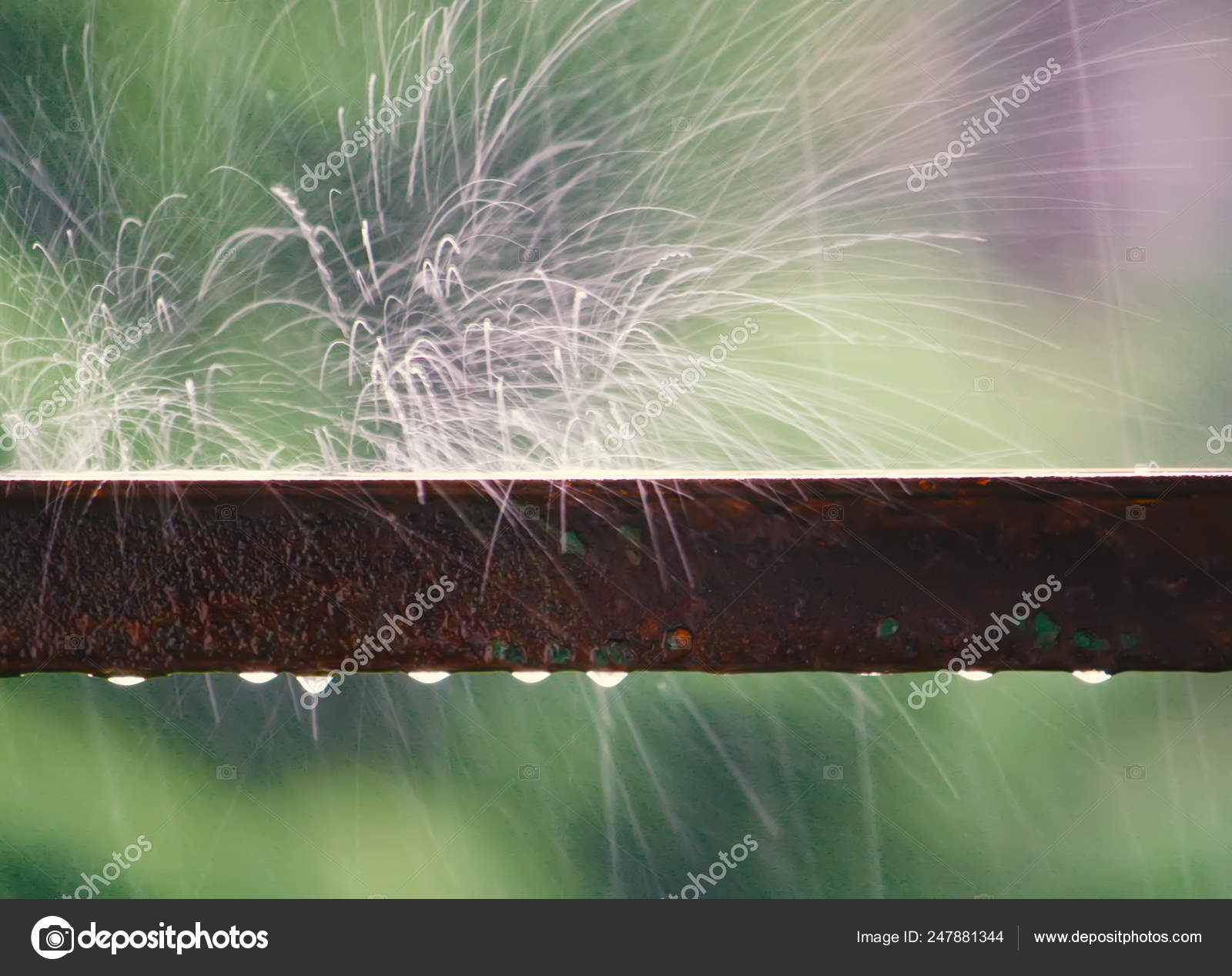 Splash of rain drops — Stock Photo © nightlyviolet #247881344