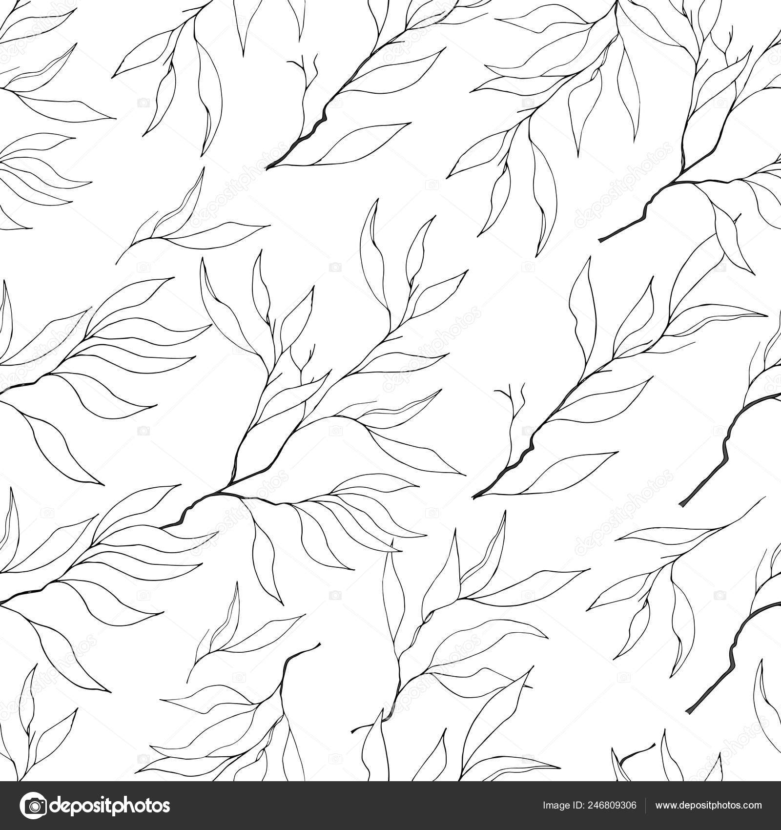 Light Background Contour Branches Silhouette Leaves Endless Textures ...