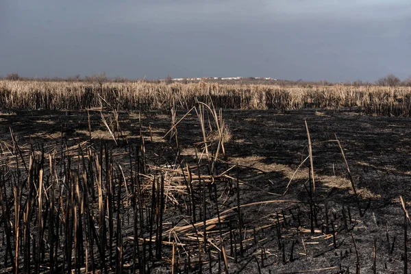 Burnt ground Stock Photos, Royalty Free Burnt ground Images | Depositphotos