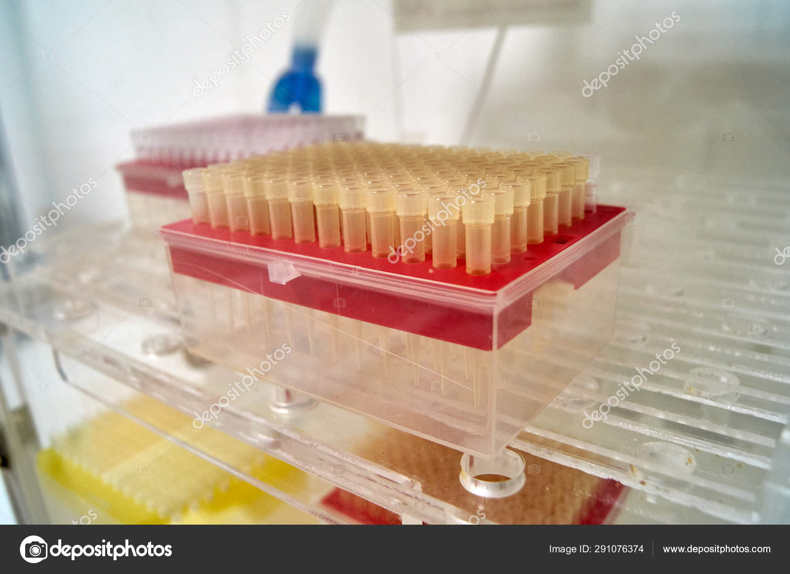 Sterile disposable caps for PCR. consumables for polymerase chain ...