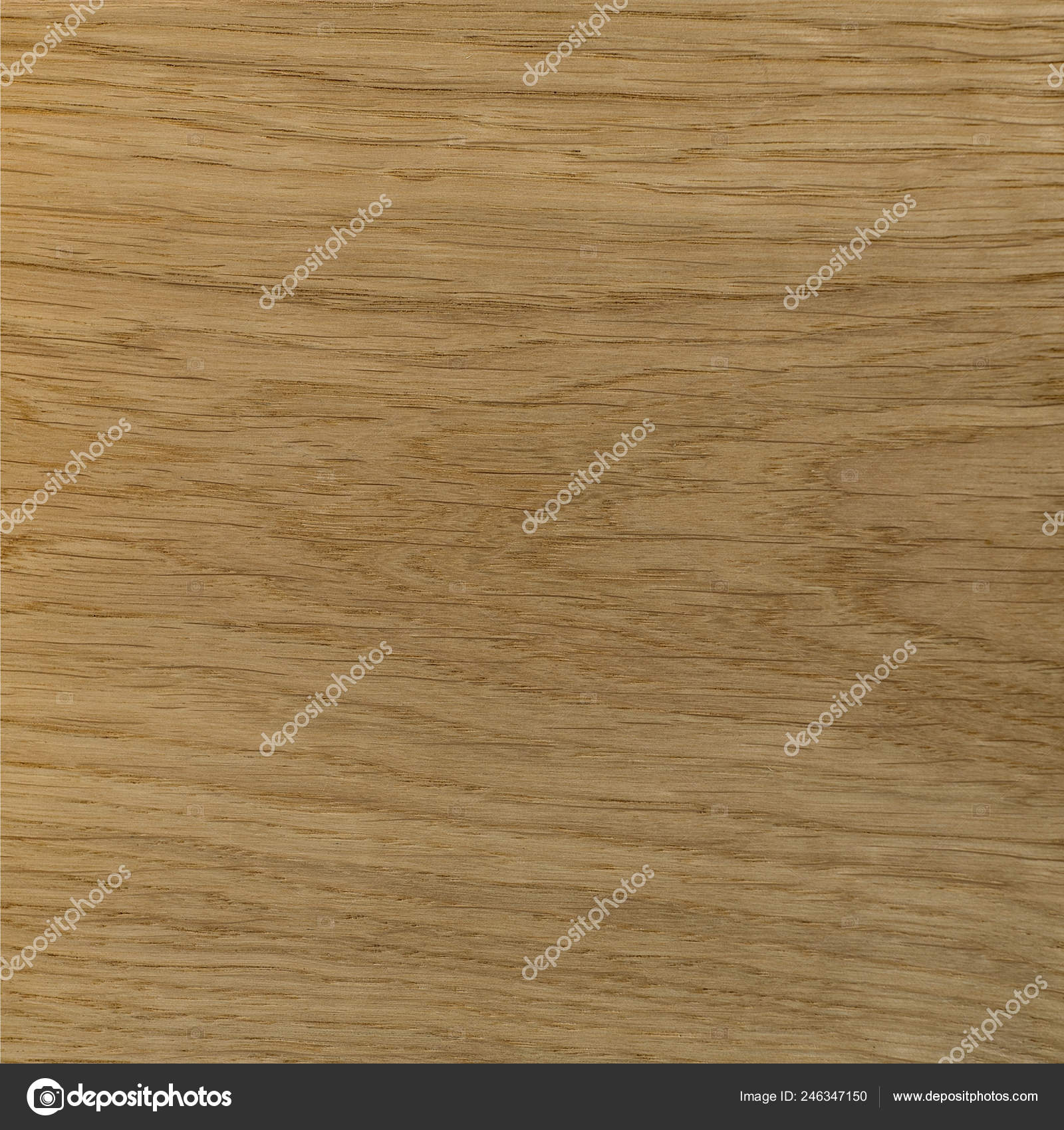 Parquet Floor Oak Floor Rustic Wood Grain Wood Texture Background ...
