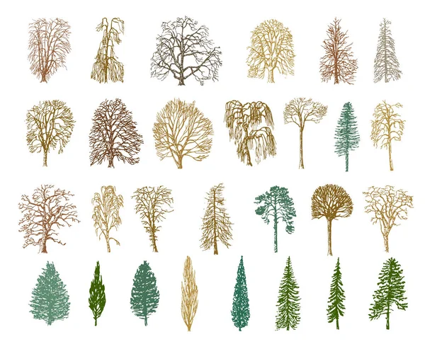 Tree collage Stock Photos, Royalty Free Tree collage Images | Depositphotos