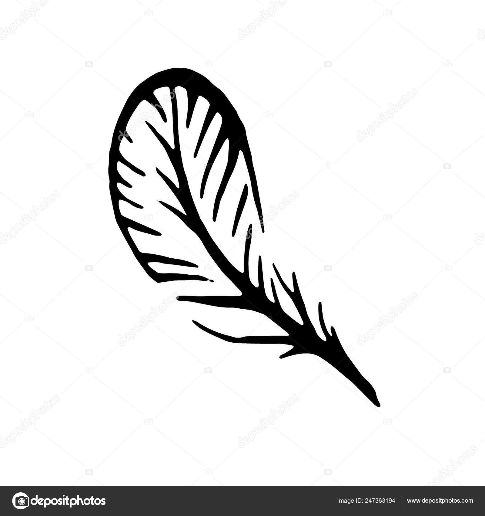 Vector hand drawn Witch and magic feather item illustration on white ...