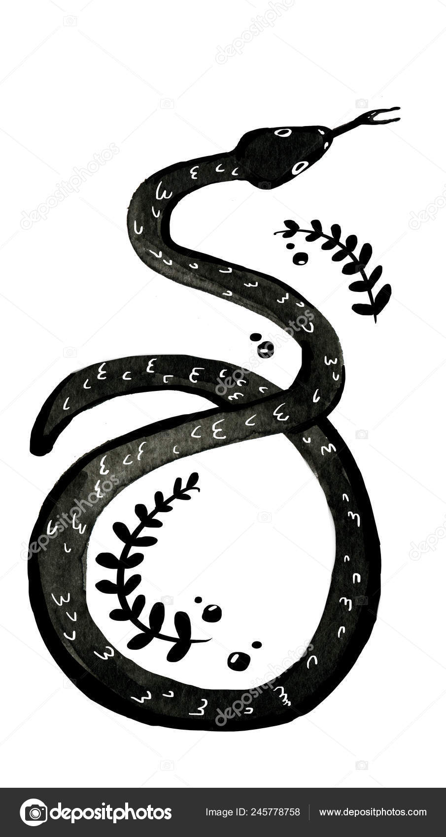 Black Ink Snake White Background Stock Illustration by ©NassyArt #245778758