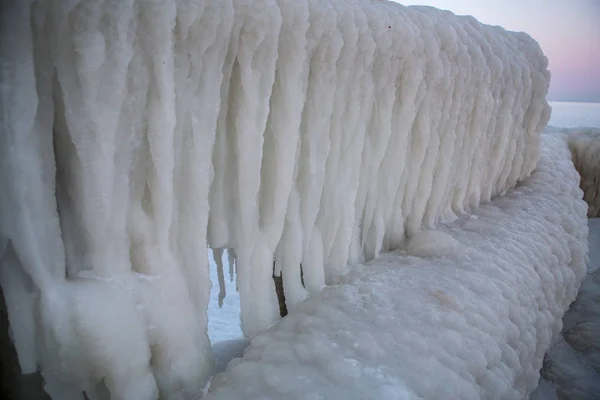 Ice horns Stock Photos, Royalty Free Ice horns Images | Depositphotos
