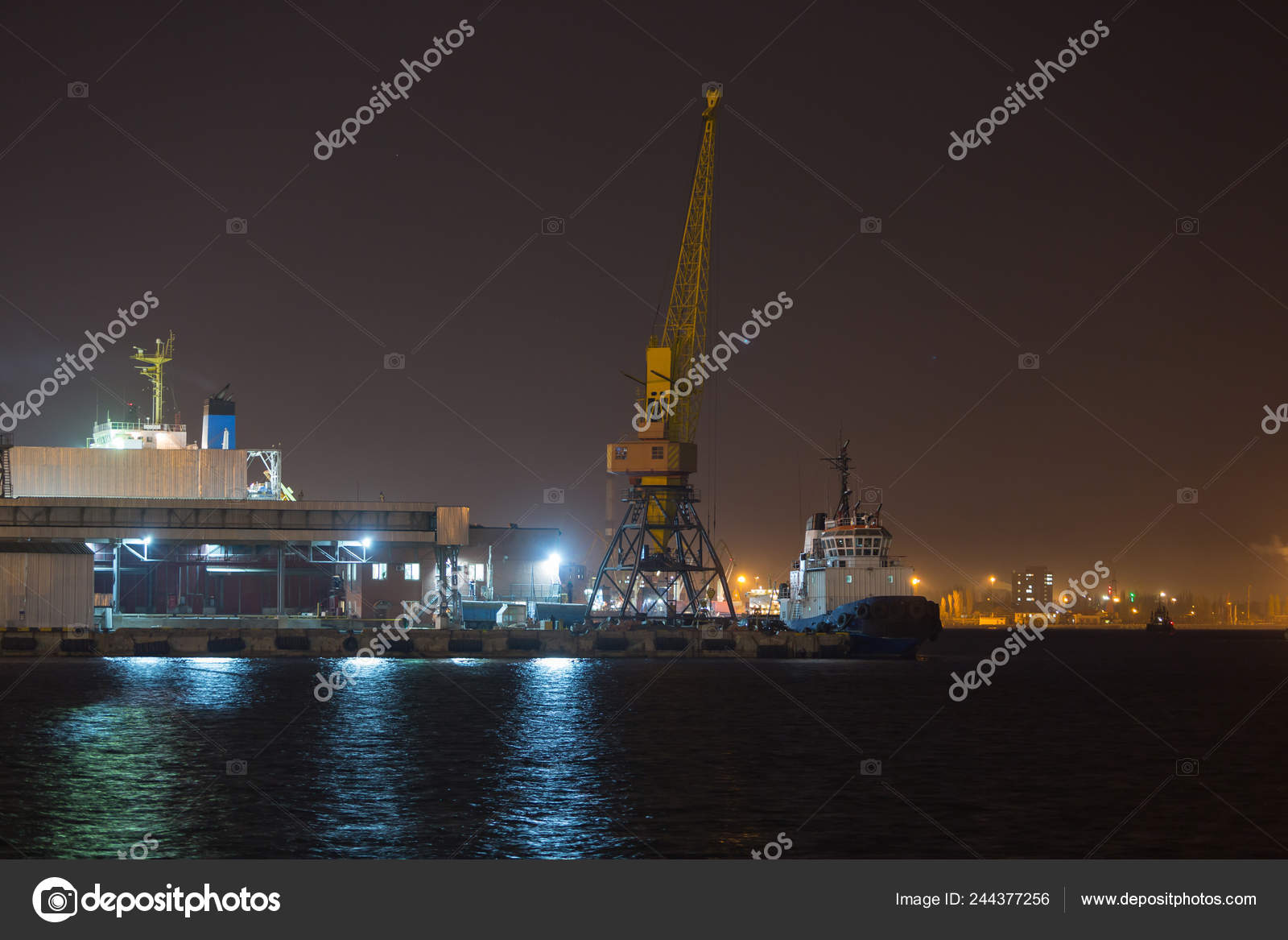Port Terminal Bulk Cargo Night Time Industrial Port Night — Stock Photo ...