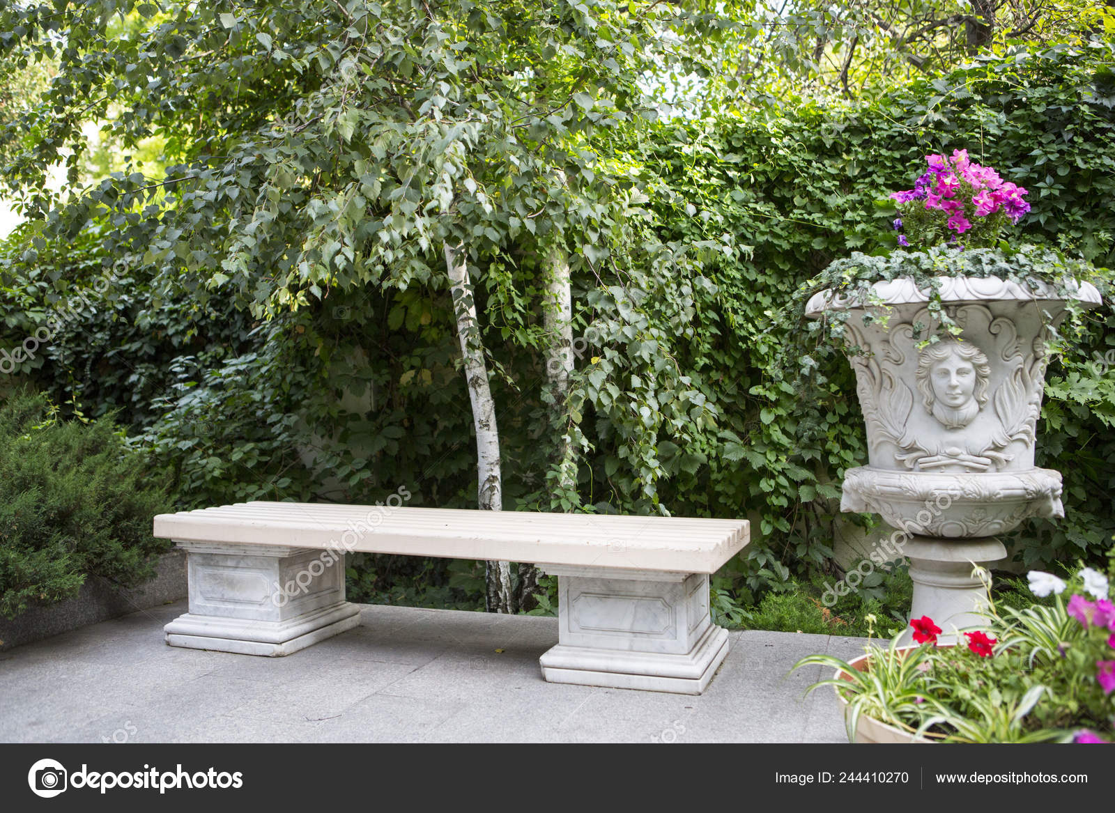 White Bench Trees Park — Stock Photo © alesix #244410270