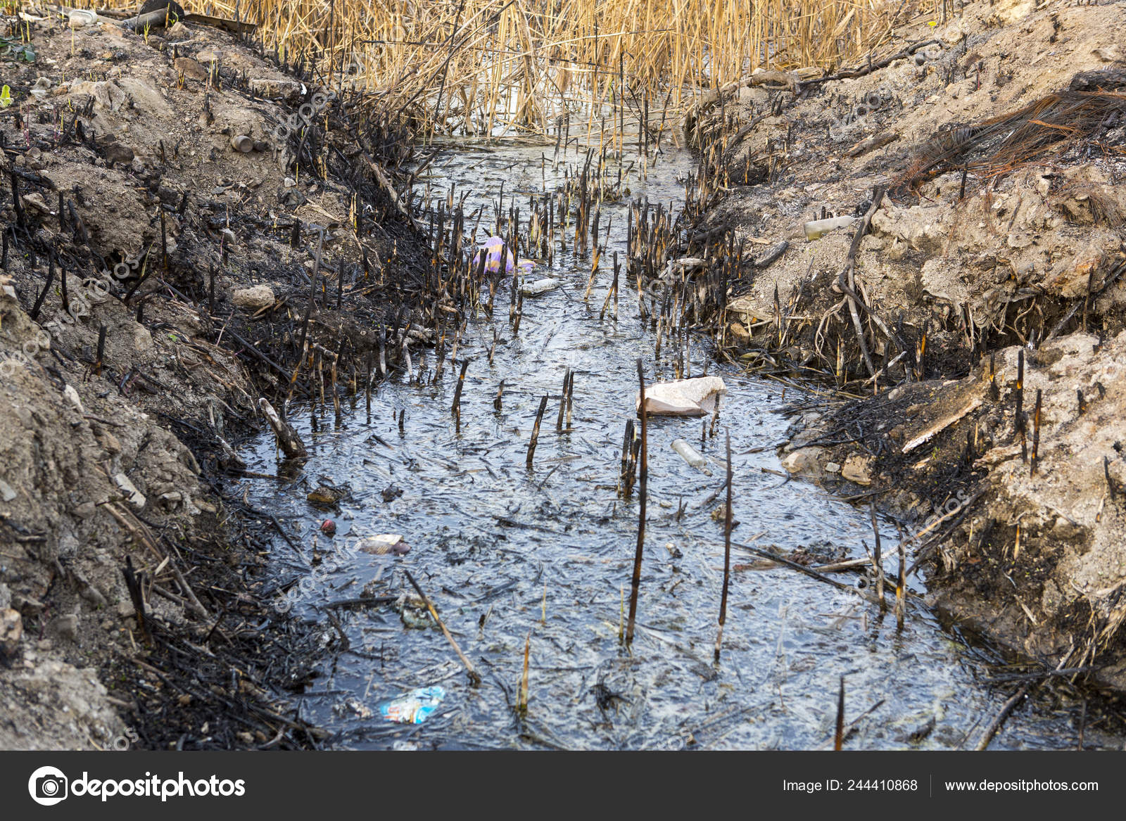 Dirty Water Ecological Catastrophe River Polluted Rubbish Plastic ...