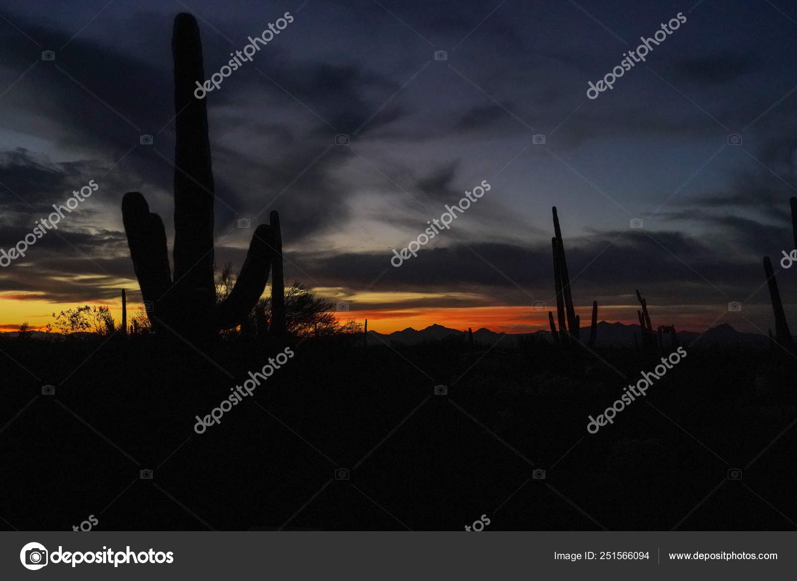 Desert sunset in Arizona Stock Photo by ©deedra.murrieta@gmail.com ...