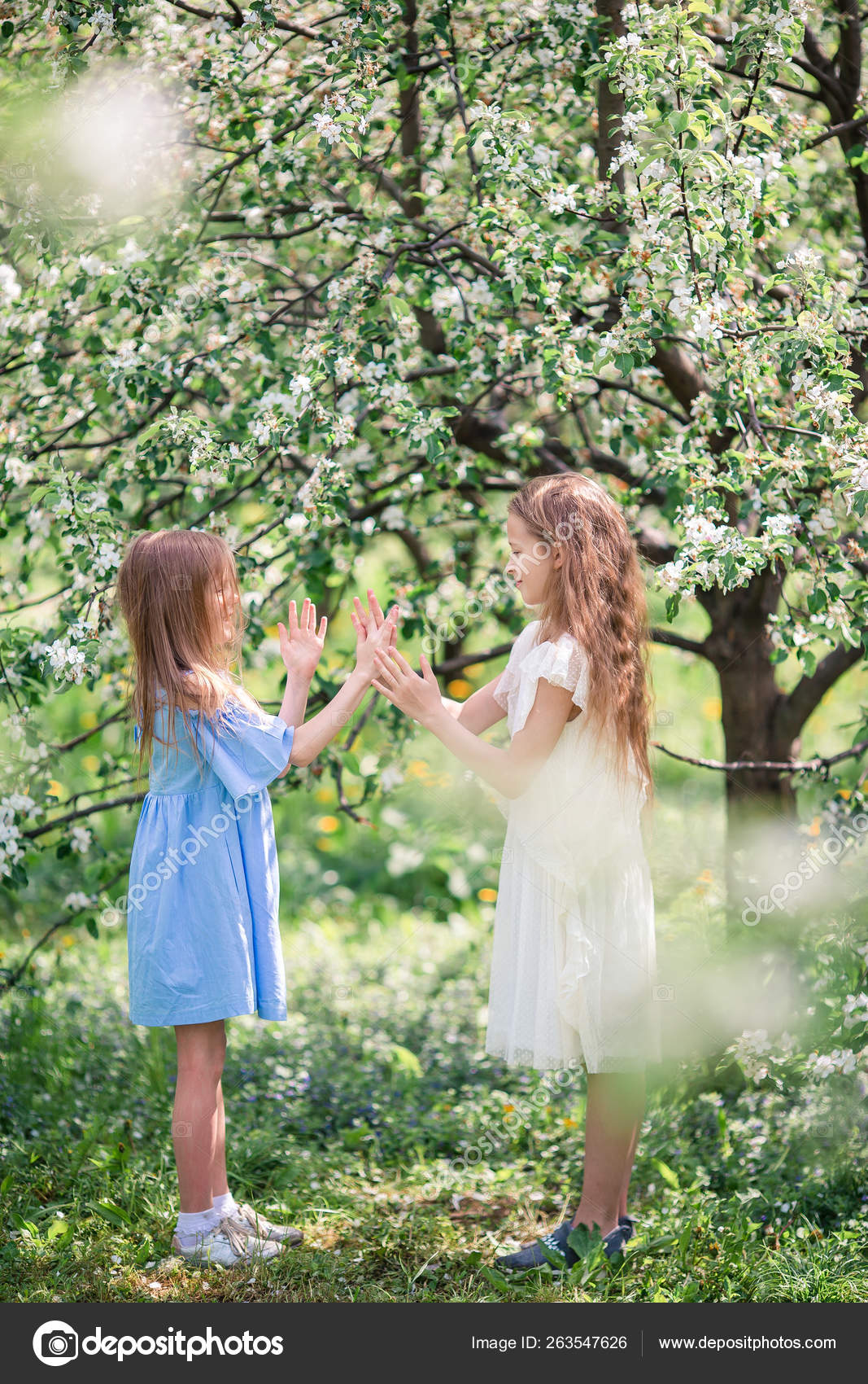 Adorable little girls in blooming apple tree garden on spring day — Stock Photo © d.travnikov ...