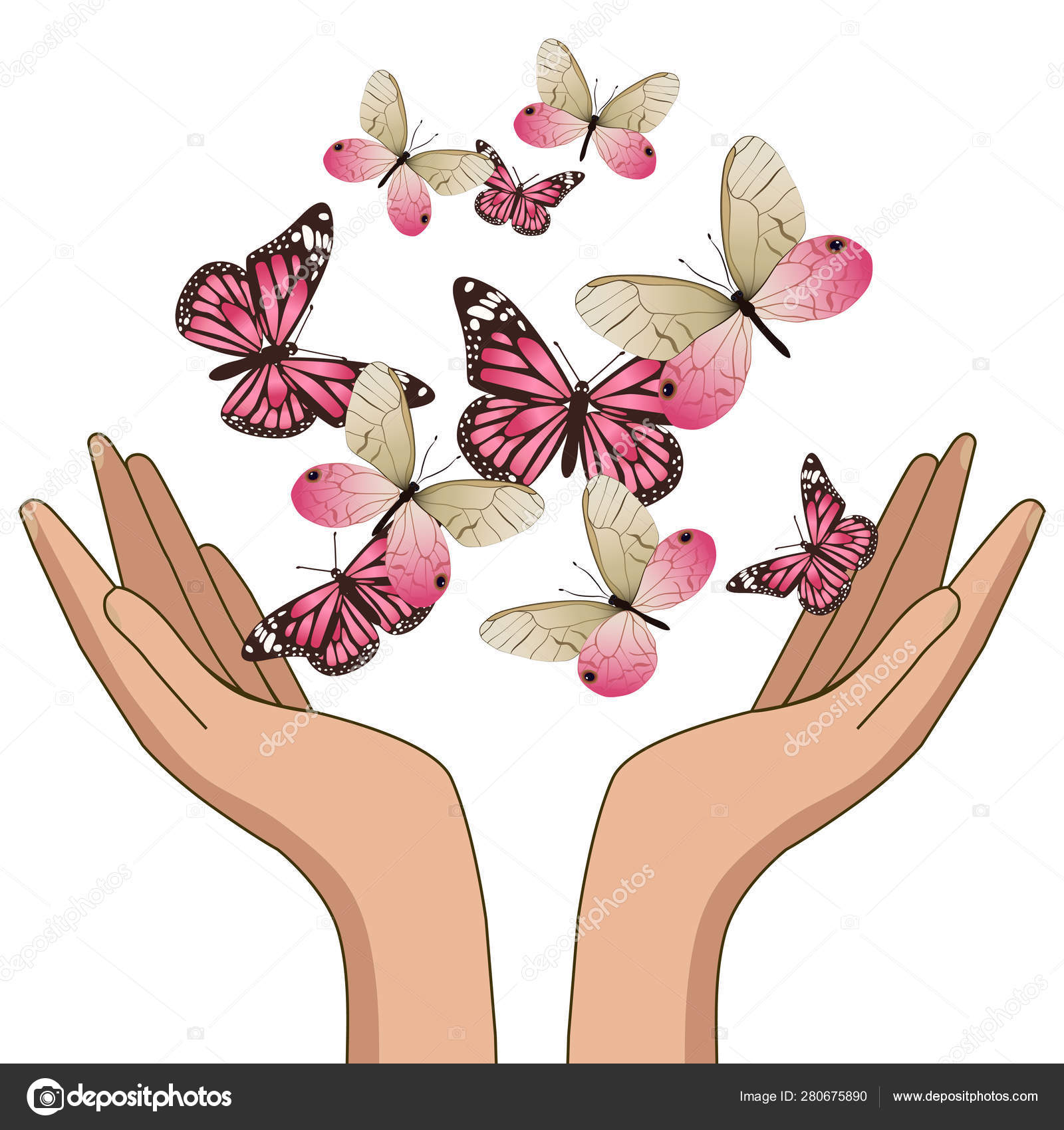 Hands release pink butterflies. Image isolated on white background. Vector graphics. Stock ...