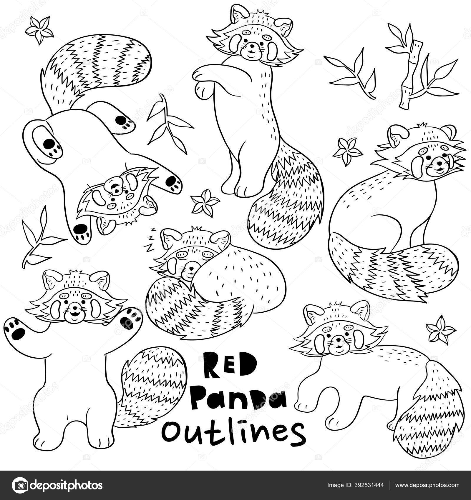 Outlines Cute Red Pandas White Background Vector Image Stock Vector Image by ©burbura #392531444