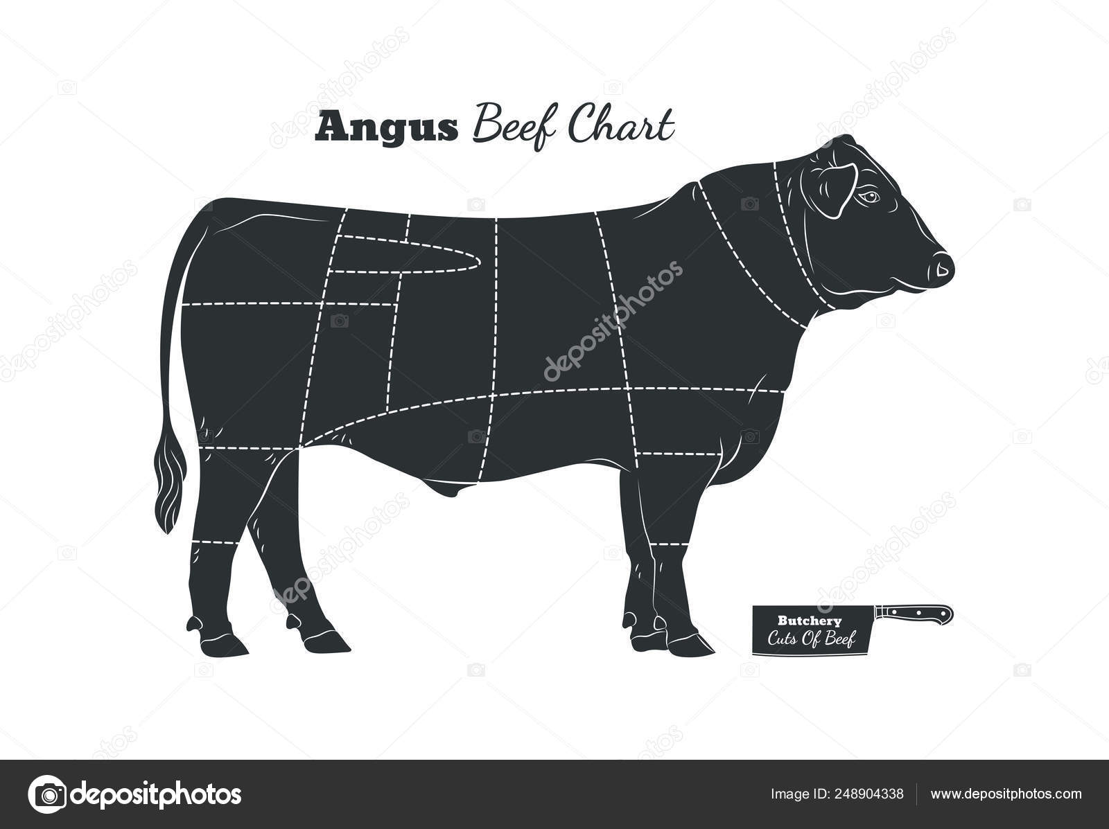 Beef Cow Bull Butcher Meat Shop Logotype Sign Calf Angus — Stock Photo ...