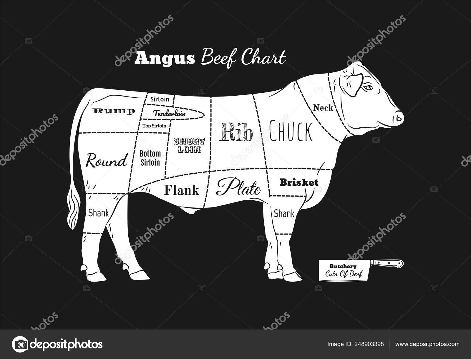 Beef Cow Butcher Meat Shop Logotype Sign Calf Bull Angus Stock Vector ...