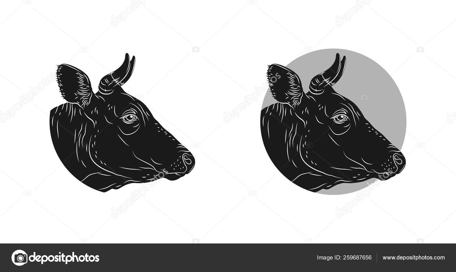 Cow or bull head profile view isolated. — Stock Photo © TyumentsevaAnna ...
