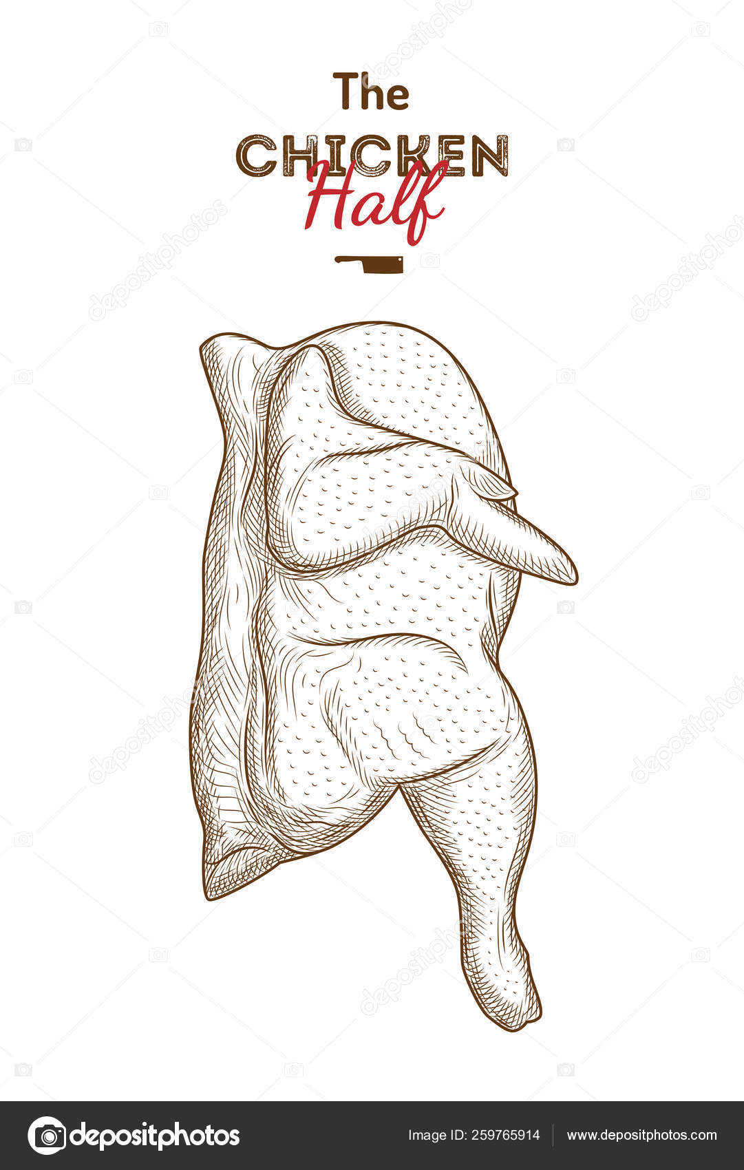 Half of chicken cut drawing illustration Stock Illustration by ...