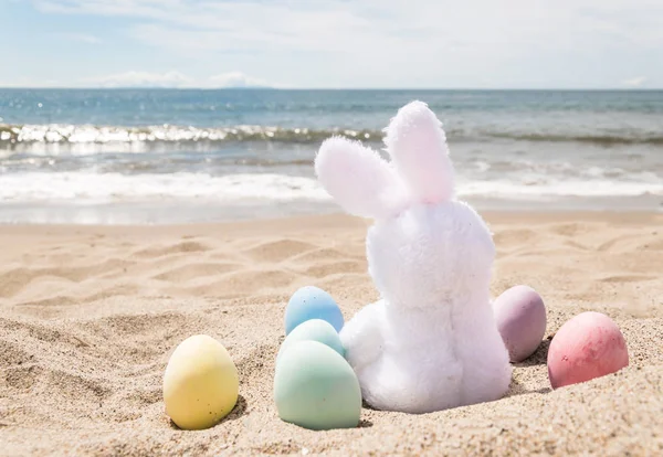 Easter bunny beach Stock Photos, Royalty Free Easter bunny beach Images ...