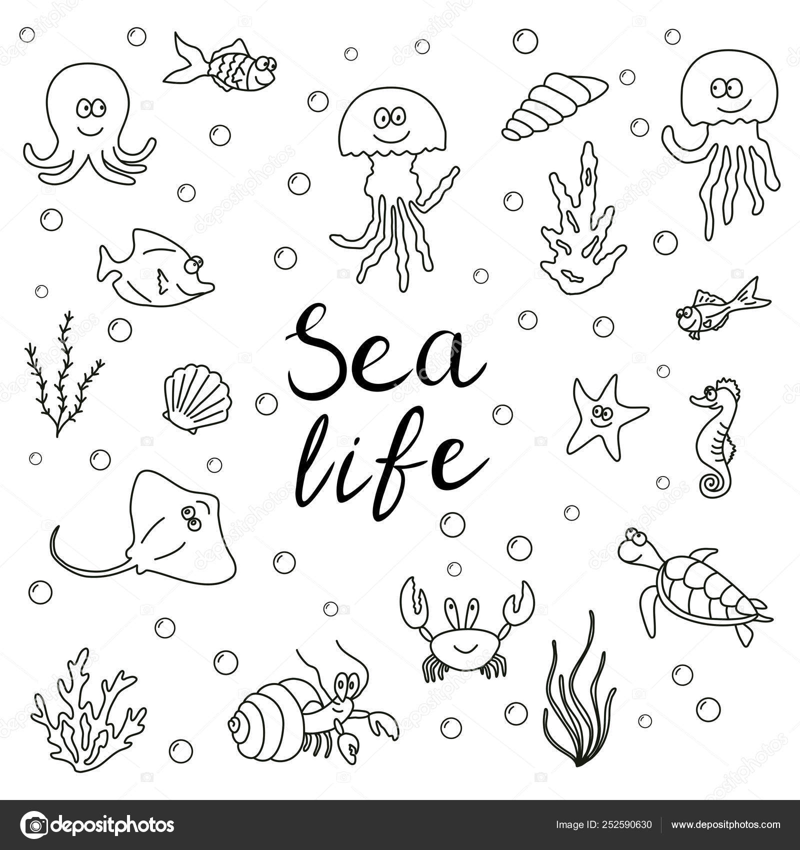Sea Life Outlines