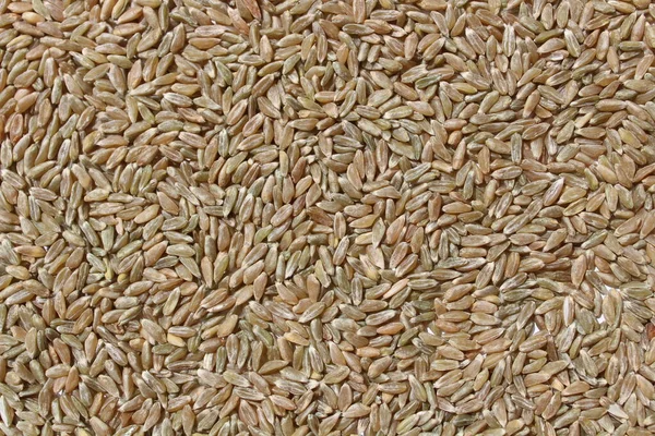 Escala de sementes Stock Photos, Royalty Free Escala de sementes Images ...