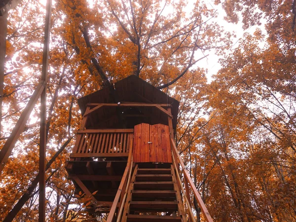 Treehouse Stock Photos, Royalty Free Treehouse Images | Depositphotos