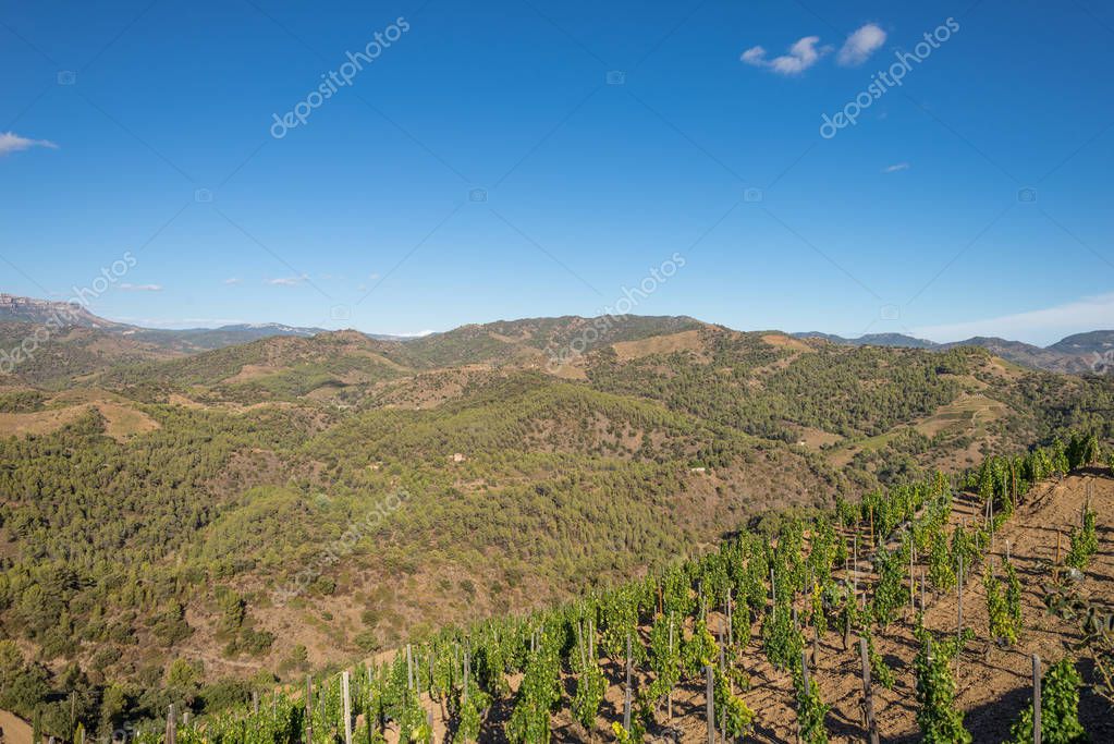 La Comarca Priorat es una famosa zona vinícola donde se produce el ...