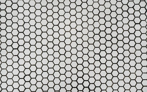 Hexagonal cell texture. Honey hexagon cells, honeyed comb grid texture and honeycombs fabric ...