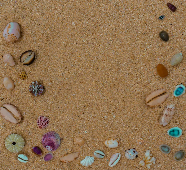 Shells On Sand — Stock Photo © BozenaFulawka #25050169