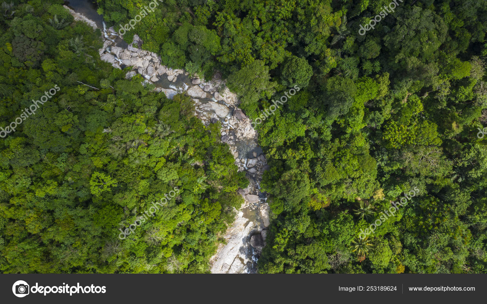 Top View Flowing River Tropical Jungle Forest — Stock Photo © alex.zvar ...