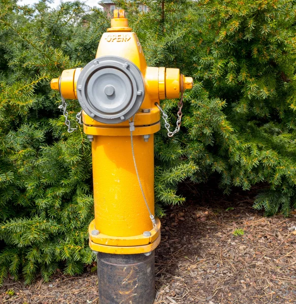Fire hydrant systems Stock Photos, Royalty Free Fire hydrant systems ...