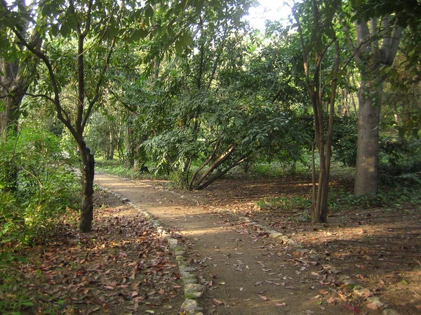 Walking long path Stock Photos, Royalty Free Walking long path Images ...
