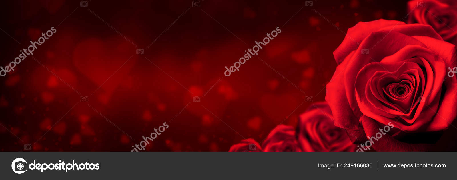 Valentine Invitation Banner Red Roses Heart Shape Petals — Stock Photo ...