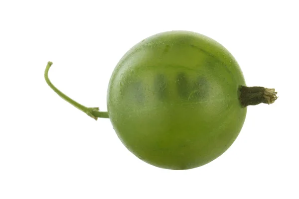 Waitrose Stock Photos, Royalty Free Waitrose Images | Depositphotos