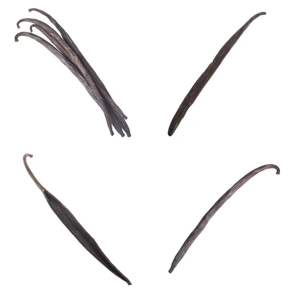 Vanilla Spice Isolated White Background — Stock Photo © lewal2005 ...