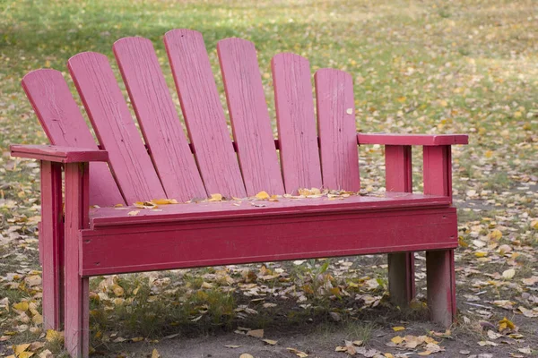 Cozy bench in the autumn park. Peace and quiet. Peace with nature ...