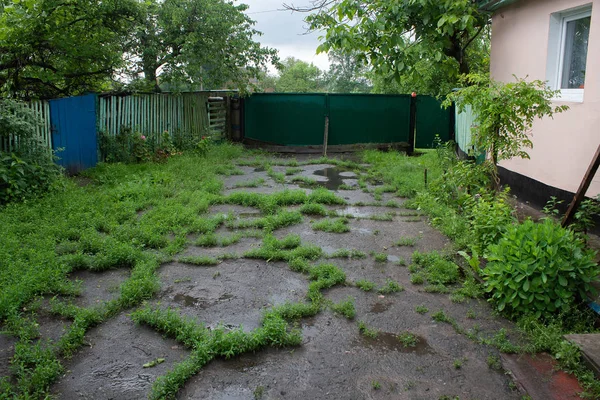 Overgrown yard Stock Photos, Royalty Free Overgrown yard Images ...