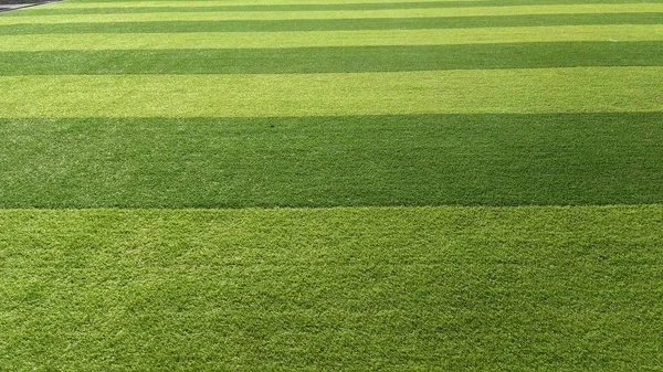 Grass line Stock Photos, Royalty Free Grass line Images | Depositphotos