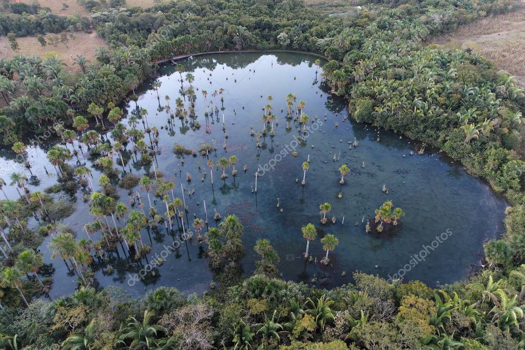 Vista aérea del lago Macaws, Nobres, Mato Grosso, Brasil. Punto ...
