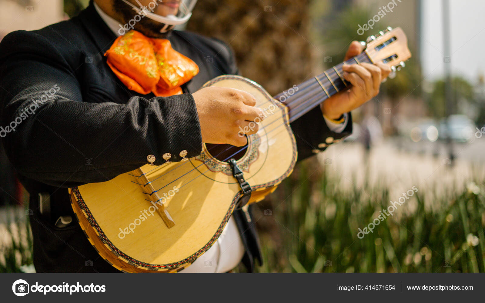 Mariachi Playing a Mexican Vihuela with a Blurry Palm Tree as ...