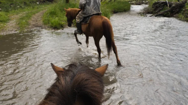 Dog horse hunting Stock Photos, Royalty Free Dog horse hunting Images ...
