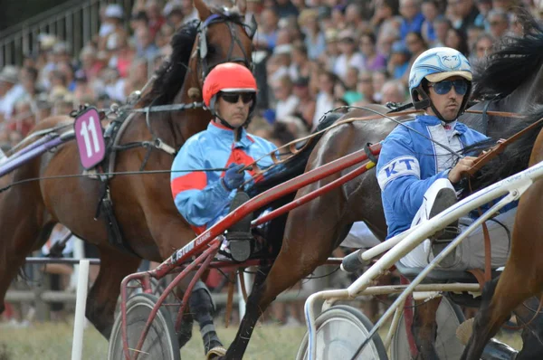 French horse racing Stock Photos, Royalty Free French horse racing ...