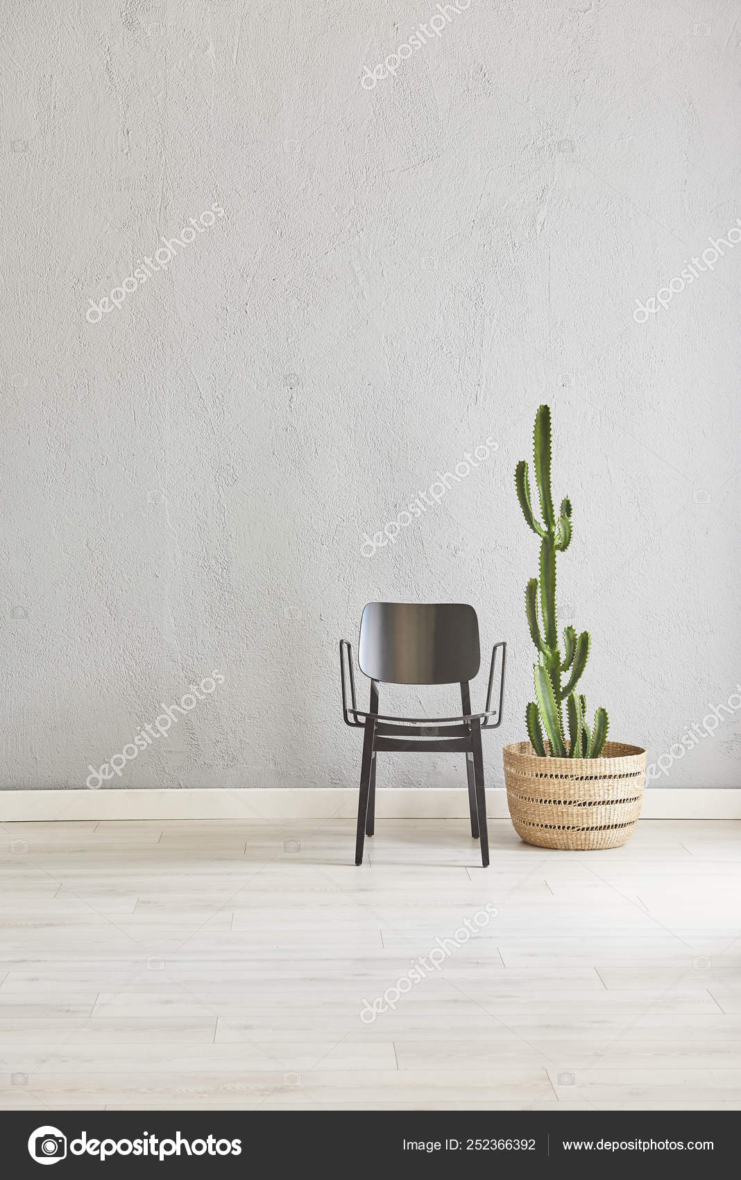 Grey Stone Wall Background Grey Interior Room Modern Home Cactuses ...