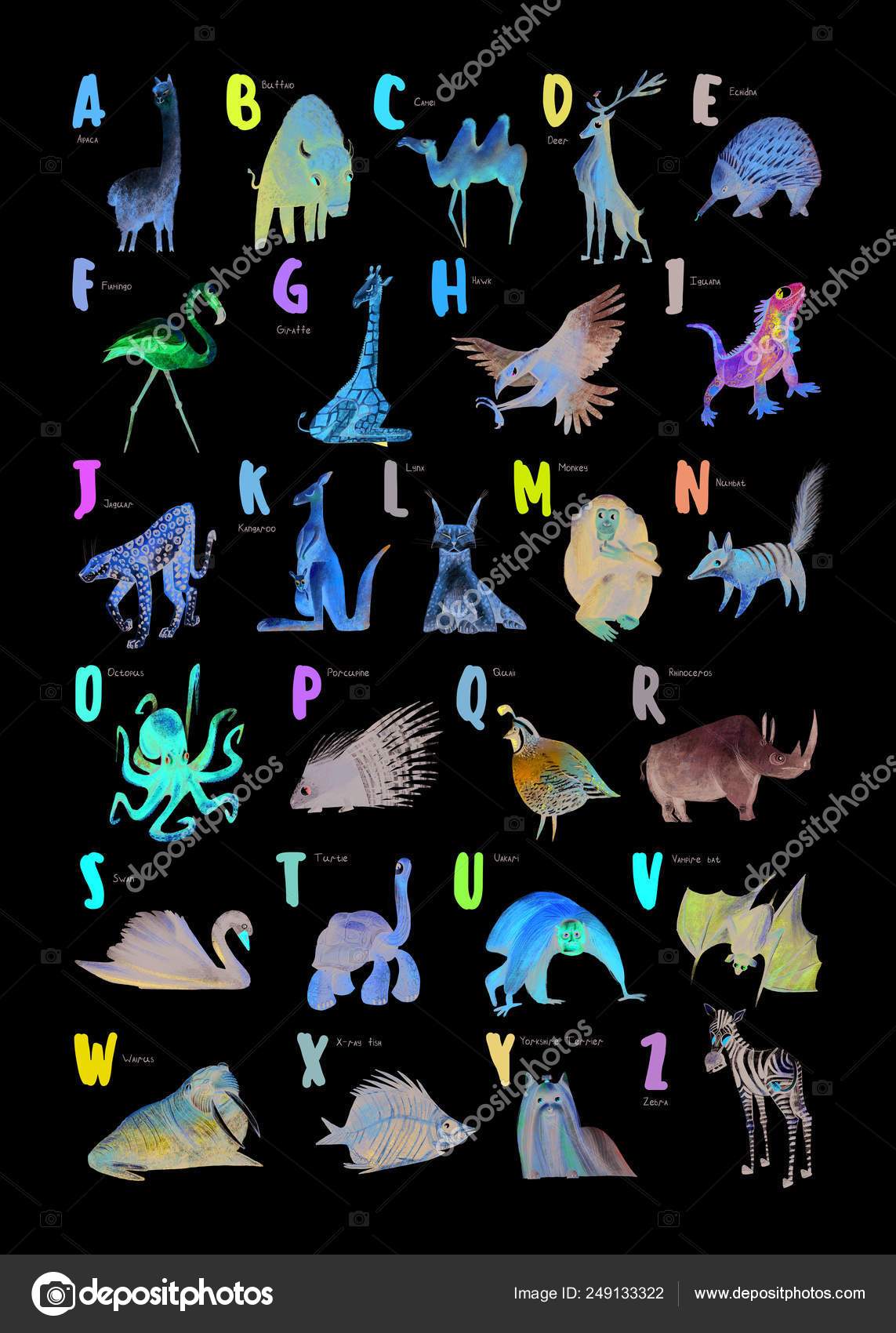 English Alphabet Animals Learn Letters Smart Zoo All Animals Many Stock ...