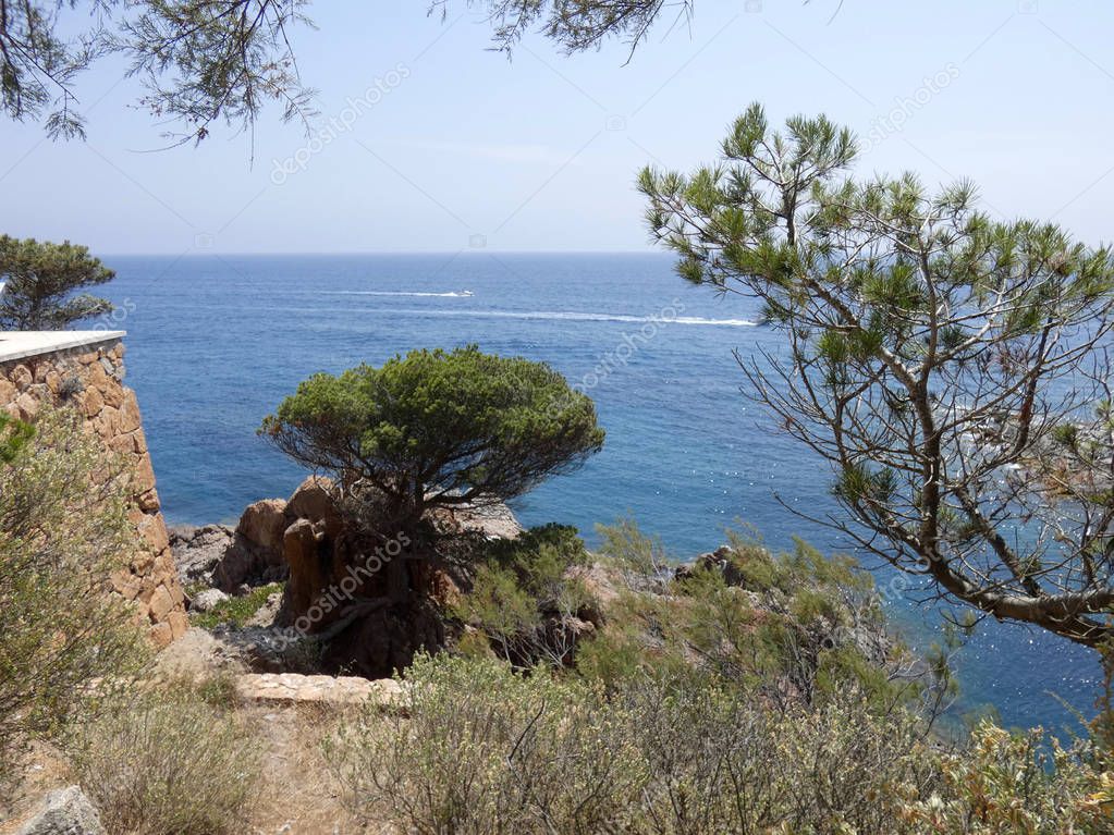 Peque a o hermosa cala de la Costa Brava al norte de la comarca de ...