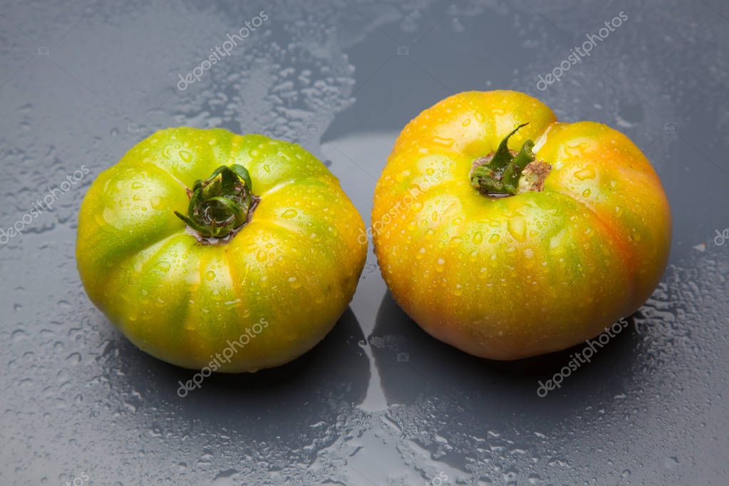 Tomates de verde a rojo, proceso de maduración. Los tomates verdes aún ...