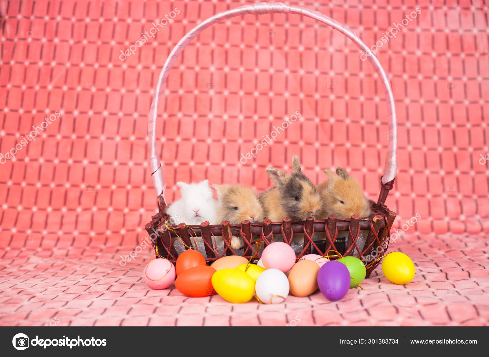 Young Small New Born Rabbits Colorful Easter Eggs Stock Photo by ©lynn ...