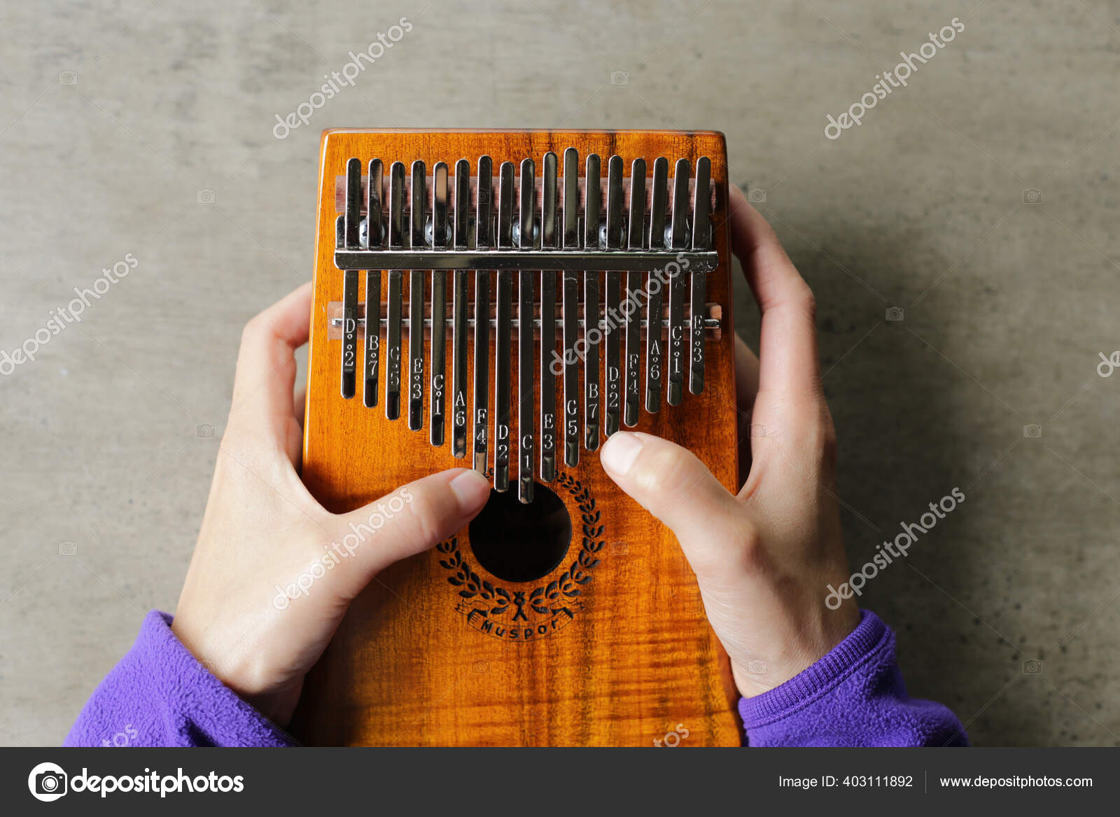 Traditional Mbira