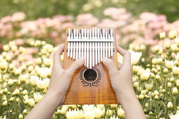 Kalimba Mbira African Musical Instrument Traditional Shona People ...
