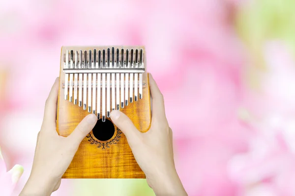 Kalimba Mbira African Musical Instrument Traditional Shona People ...