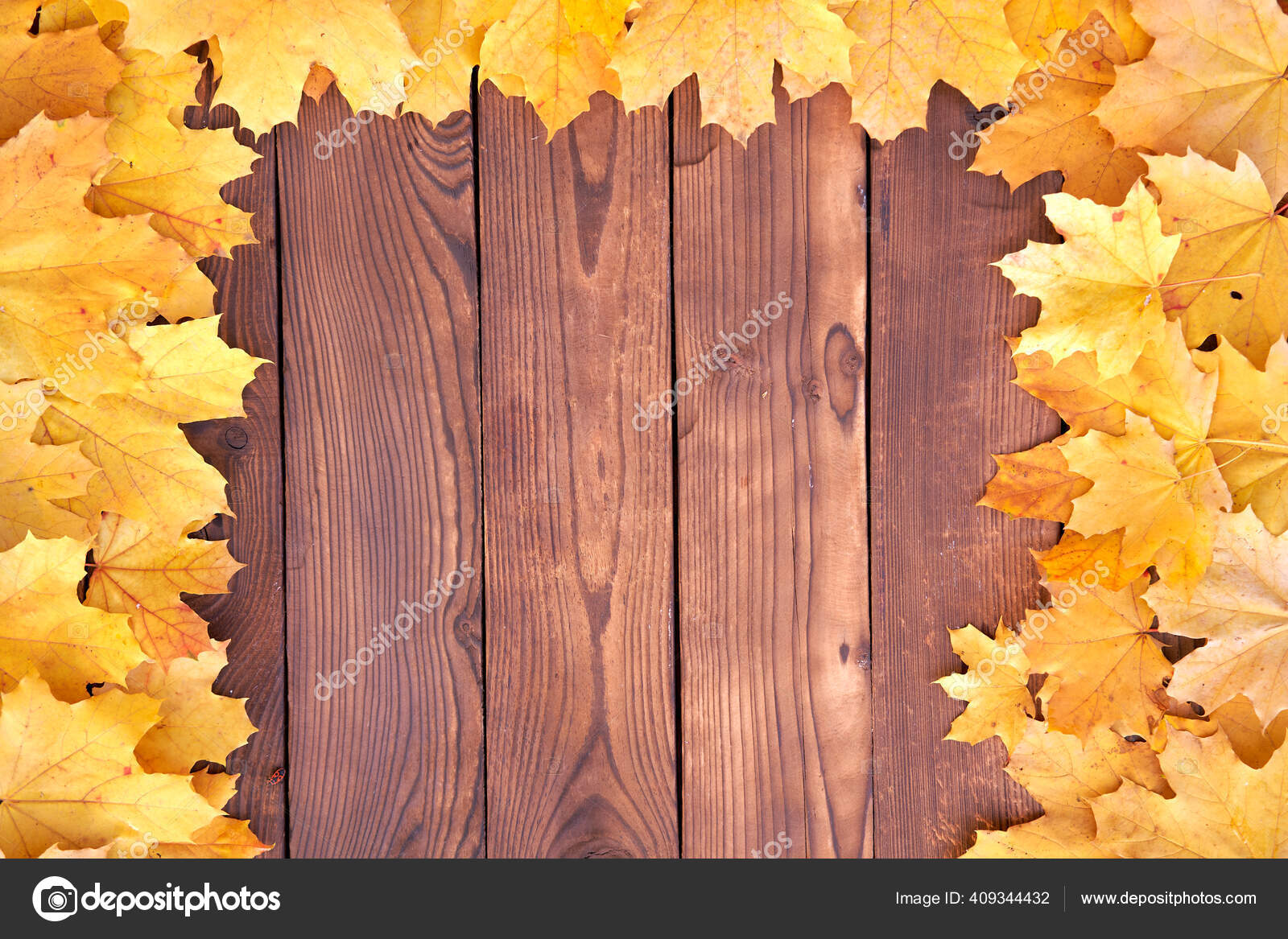 Fall Leaves Top Border